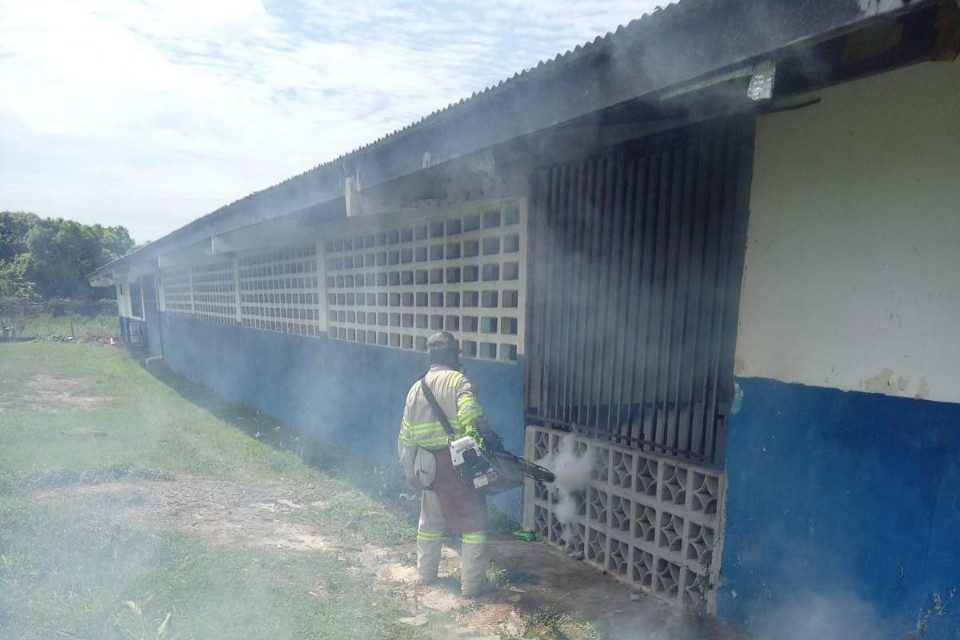 ¡Atentos! Panamá registra 3,852 casos de dengue en lo que va del año | Día a Día